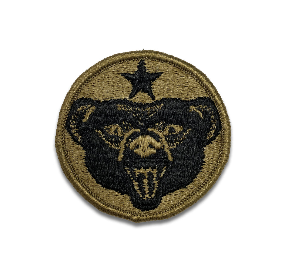Army AGSU Color Unit Patches | Sta-Brite Insignia Inc.