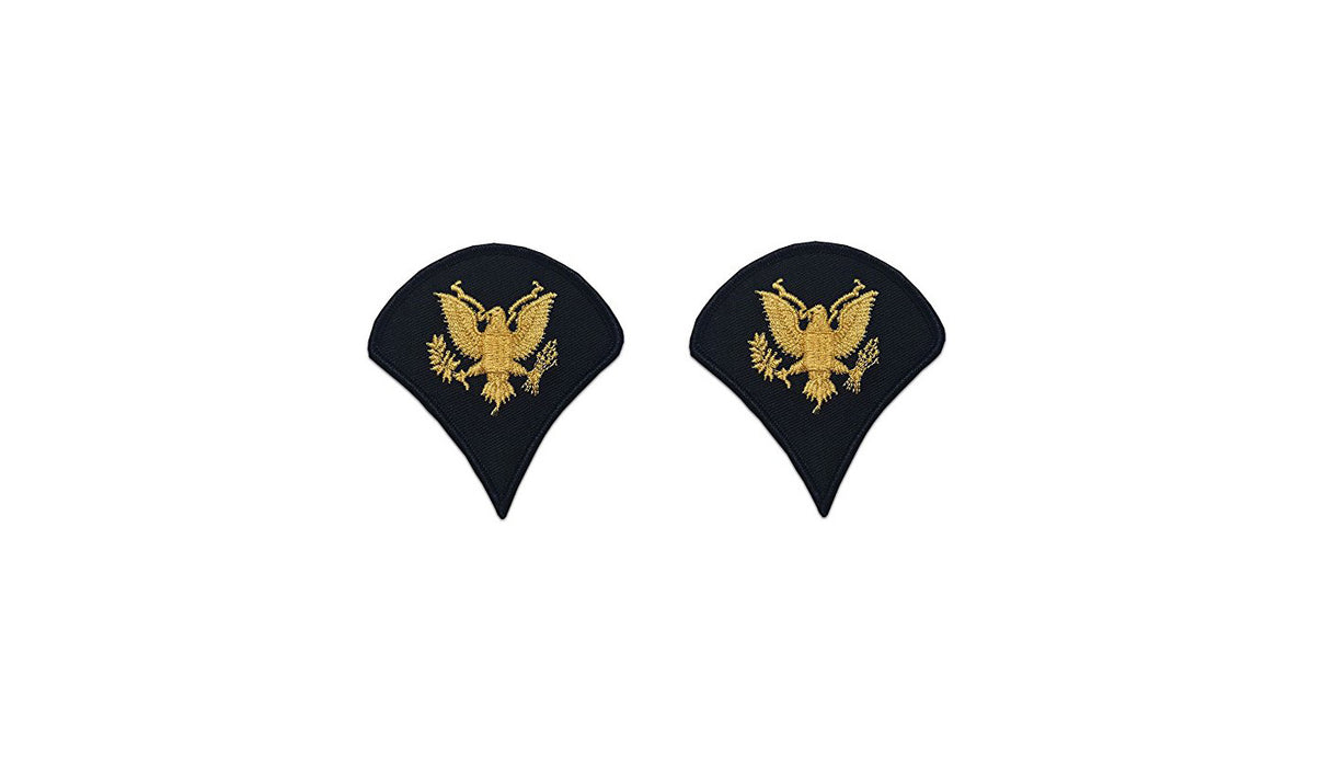 U.S. Army E4 Specialist Gold on Blue Sew-on - Large/Male | Sta-Brite ...